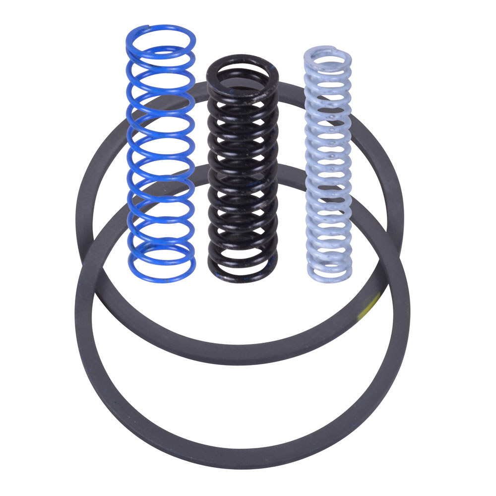 37940K - PUMP SPRING & RING KIT HD 700R4 SUPERIOR | Transmissions